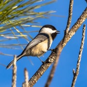 Adam Barth | LensCulture