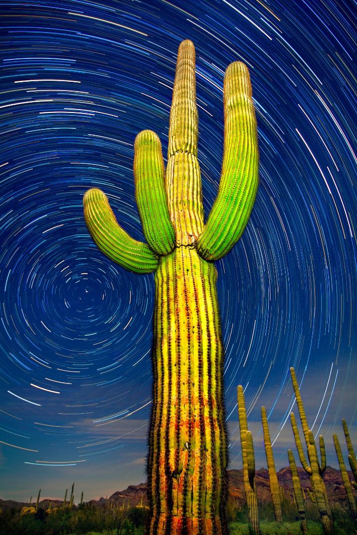 Tandem Stills + Motion - LensCulture