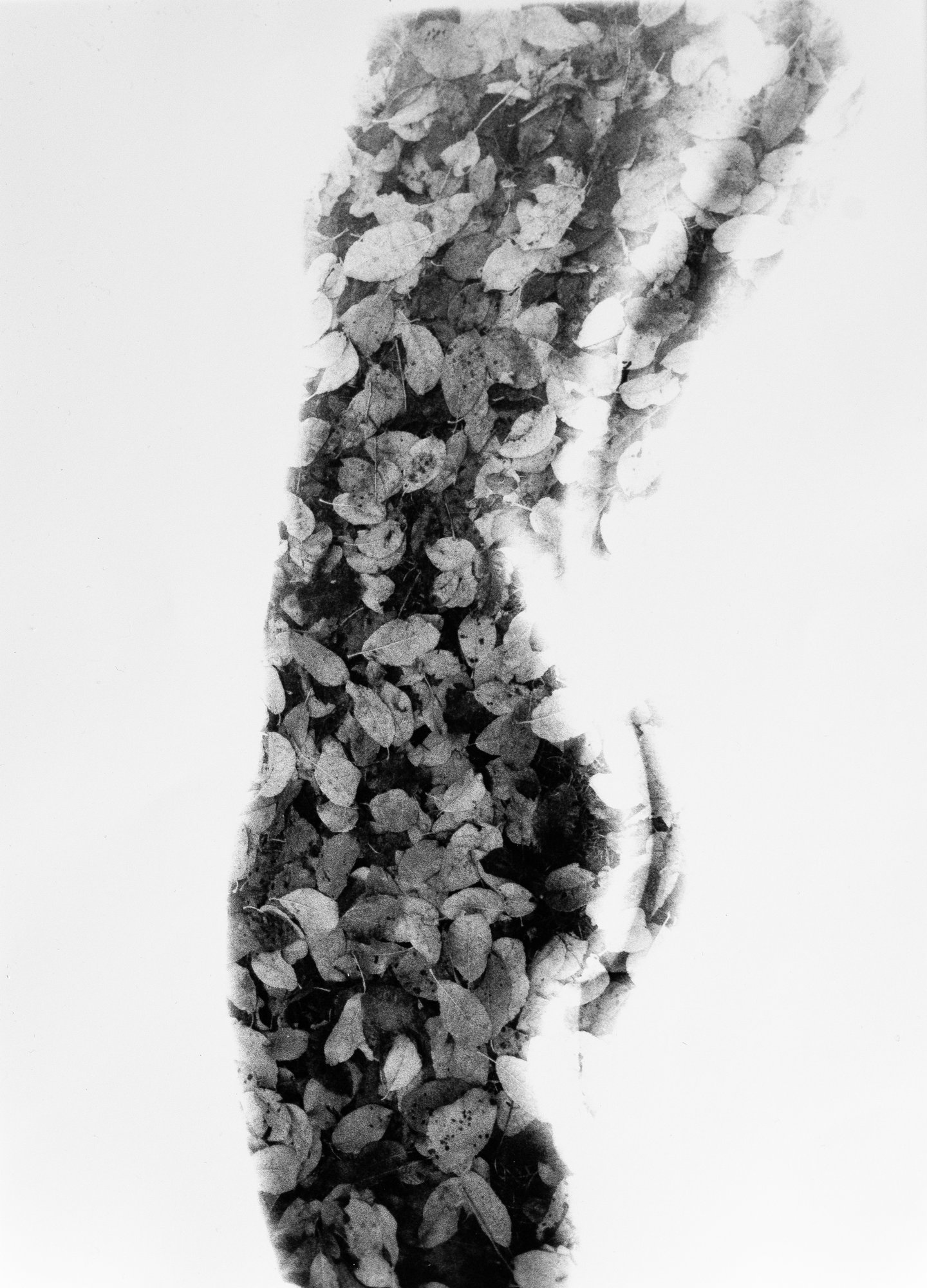 “Let the photons dance"” - LensCulture