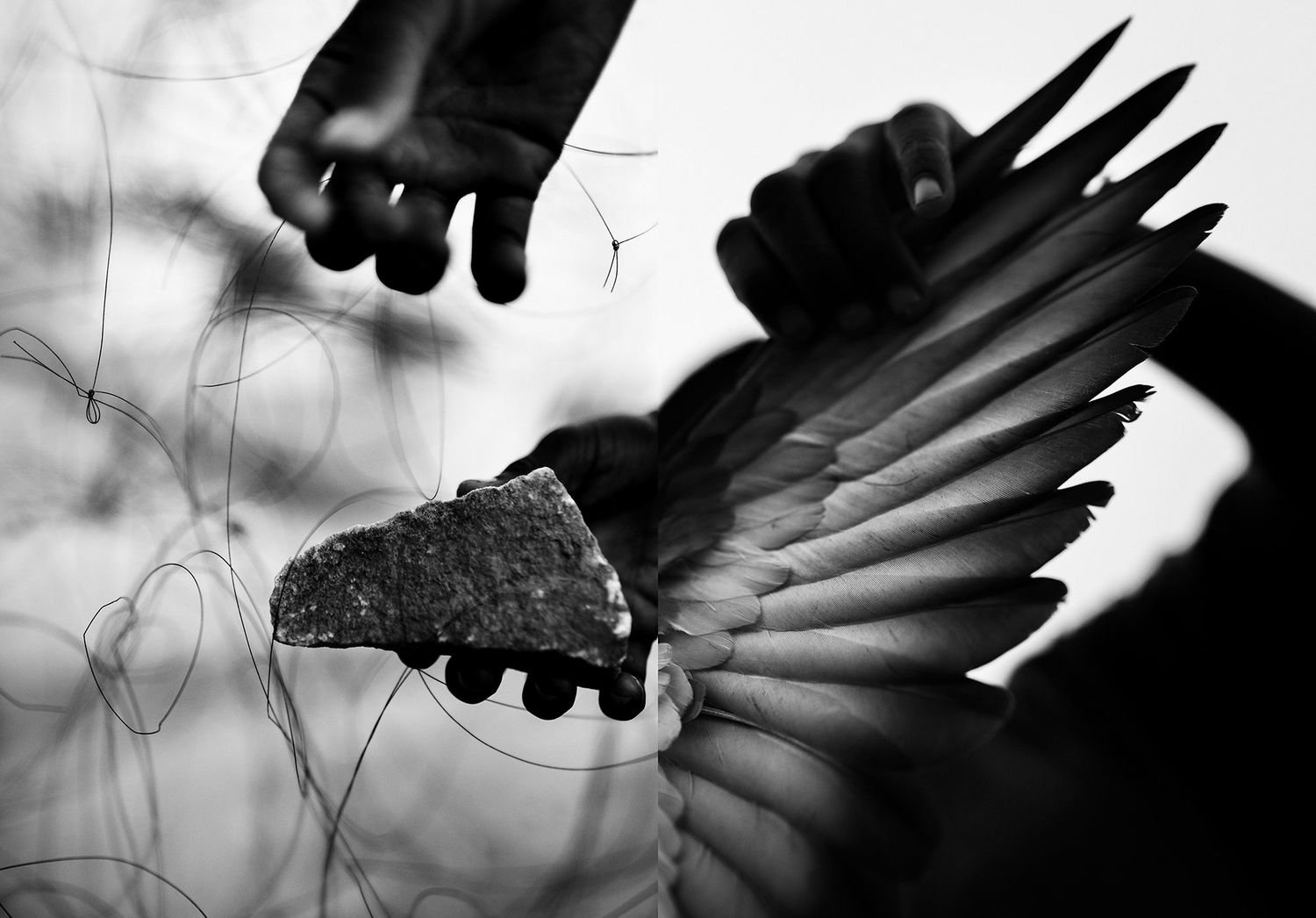 Fluid Forms: Oliva María Rubio’s Take on Art Photography - Photographs ...