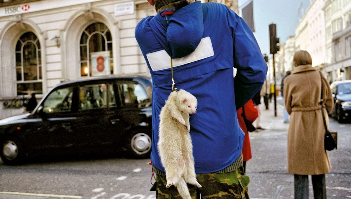 Matt Stuart | LensCulture