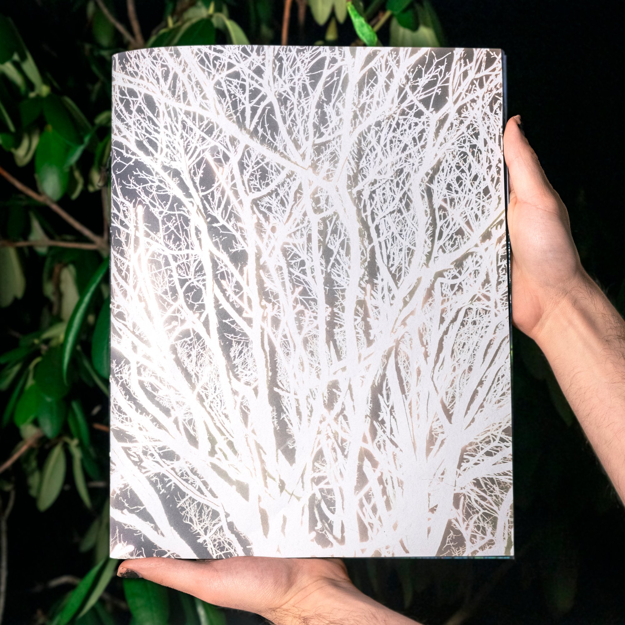 drawing down the moon by Jake Benzinger