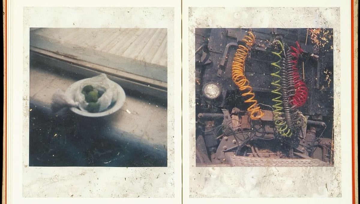 Stephen Gill | LensCulture