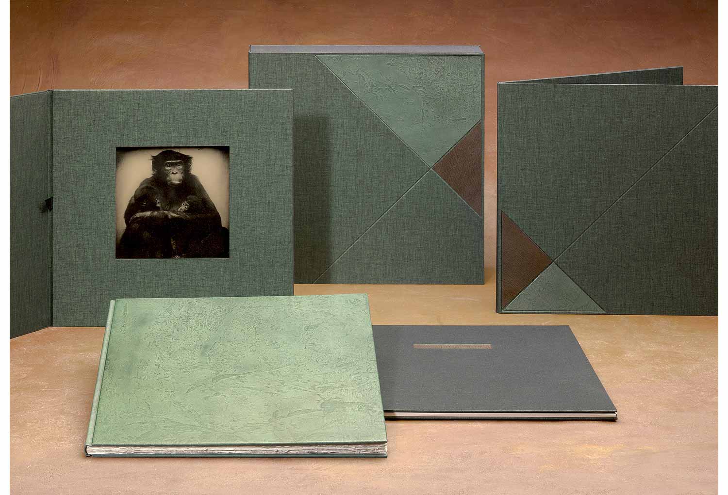 Anne Berry | LensCulture