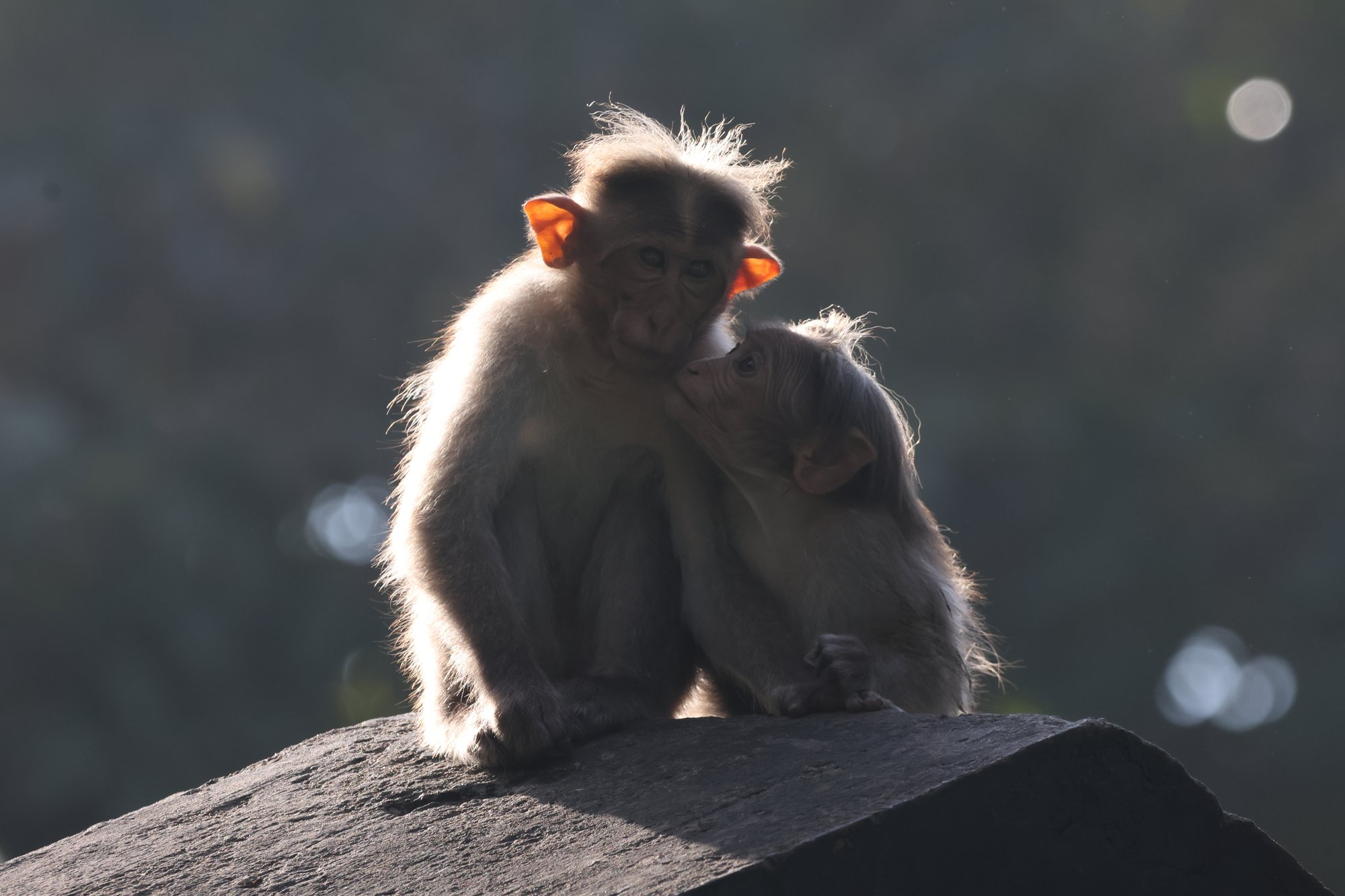 Intimate love - LensCulture