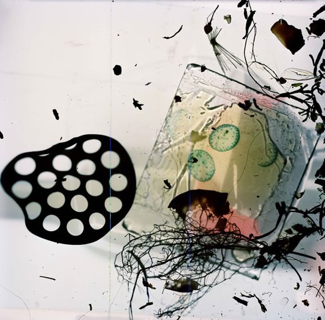 Stephen Gill | LensCulture