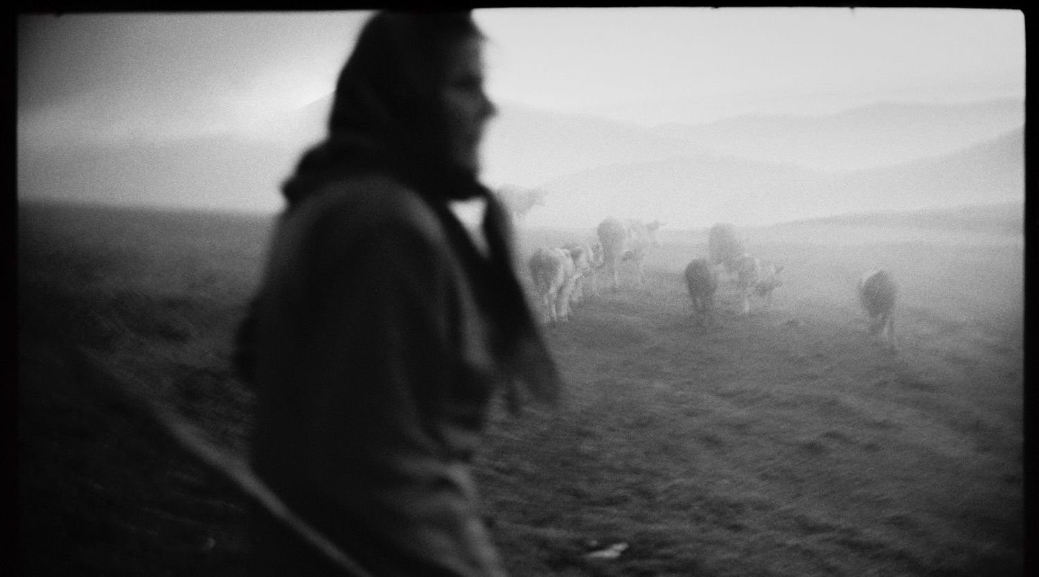 Slovenia’s Plateau Pasture Shepherds - Photographs and text by Jost ...