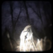 Dan Gerber | LensCulture