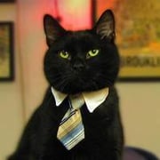 Christopher Gooding | LensCulture