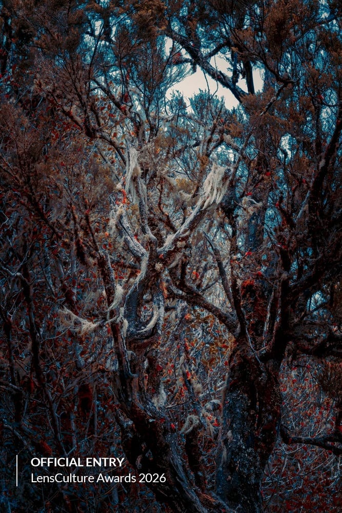 Michelle Blancke - Secret Garden - Ascent | LensCulture