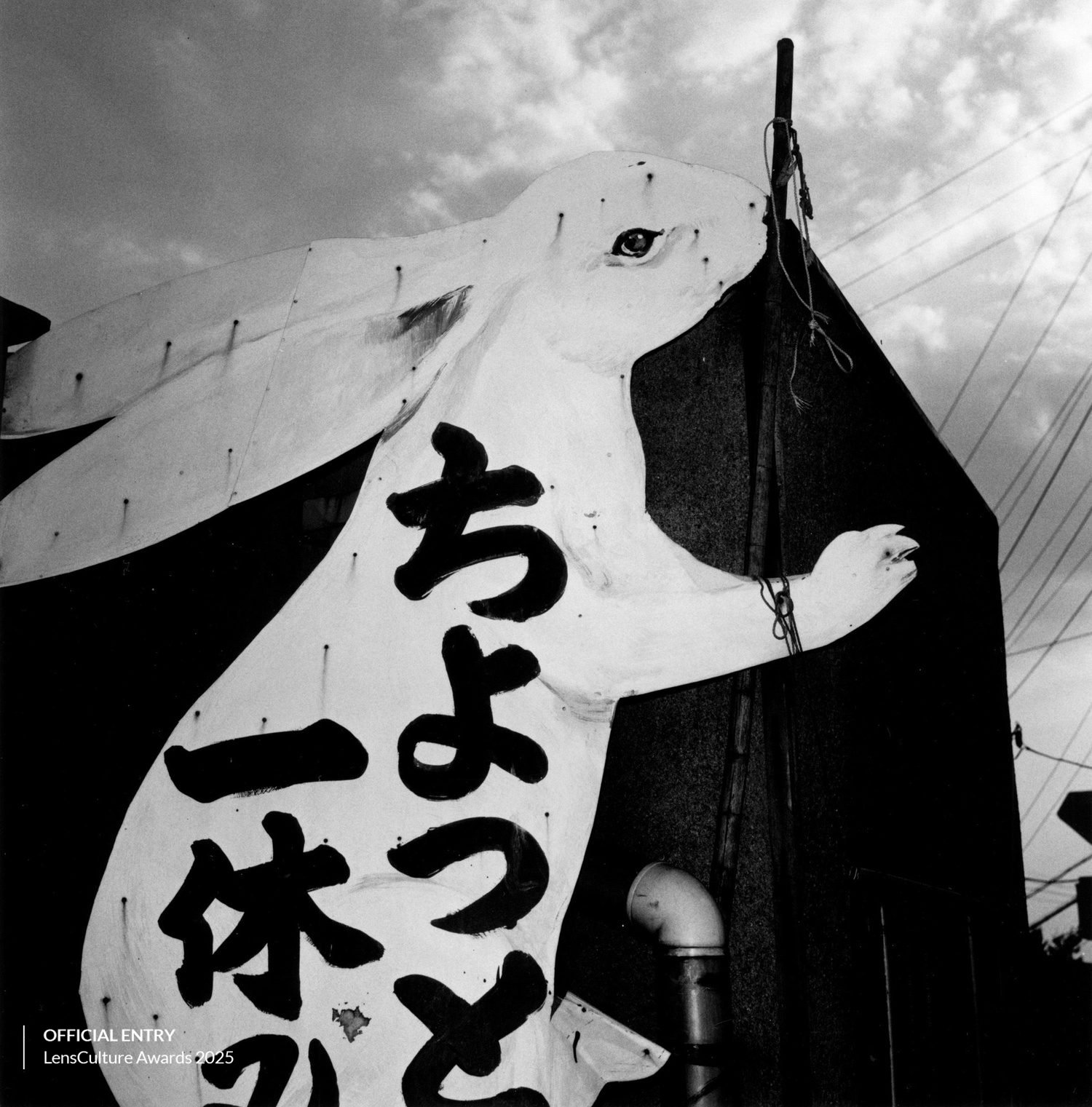 Issei Suda - Portfolio | LensCulture