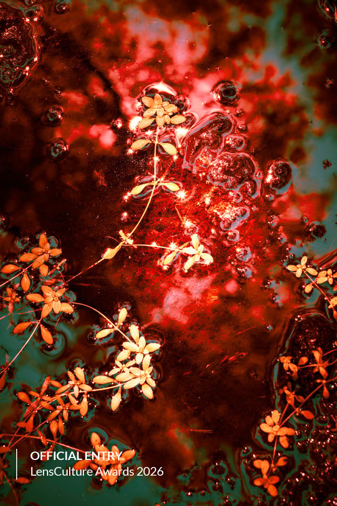 Michelle Blancke - Secret Garden - Essence | LensCulture